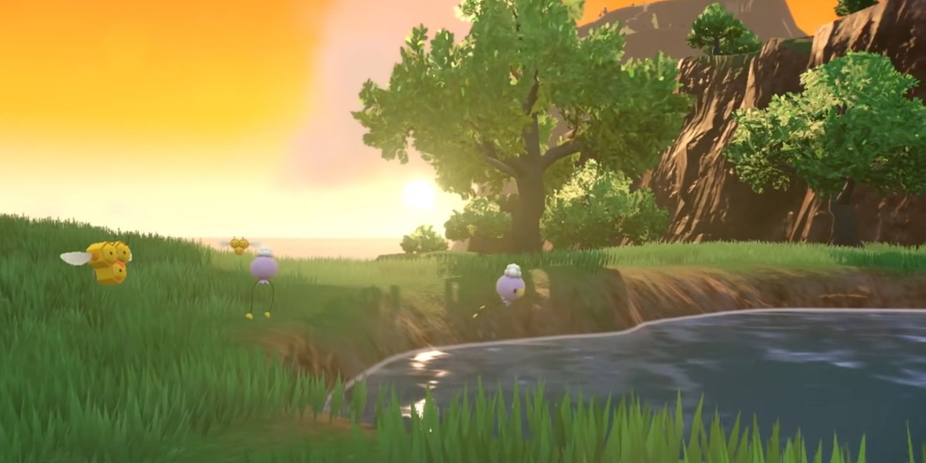 Pokemon Game Background Scenery