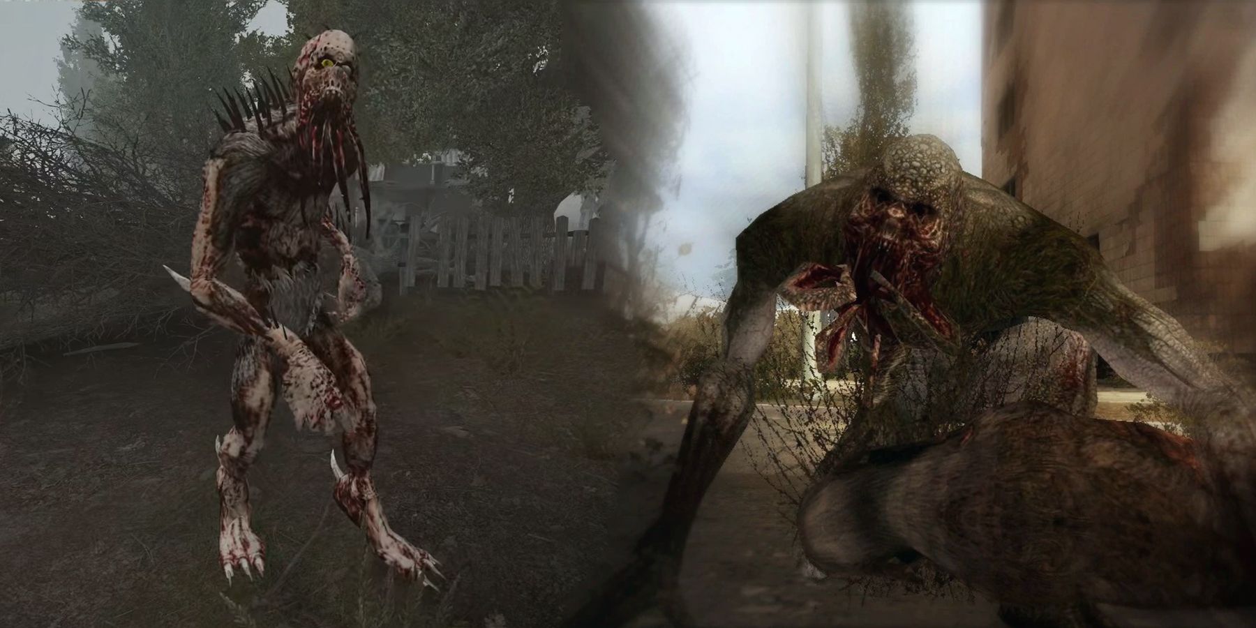 Mutants and Anomalies of STALKER Explained