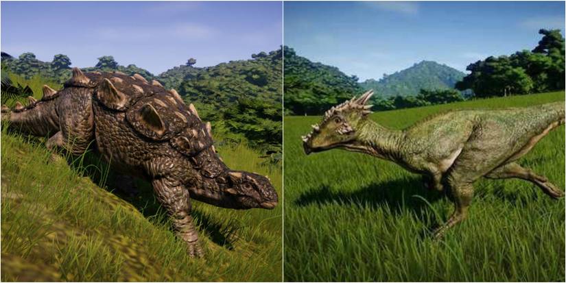 dracorex jwe2