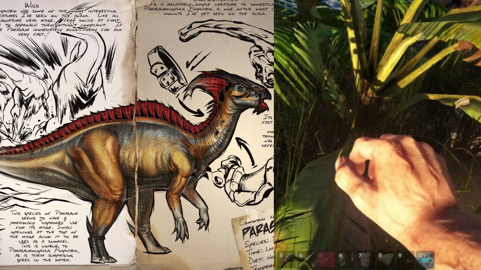 Ark Survival Evolved: How To Tame A Parasaur