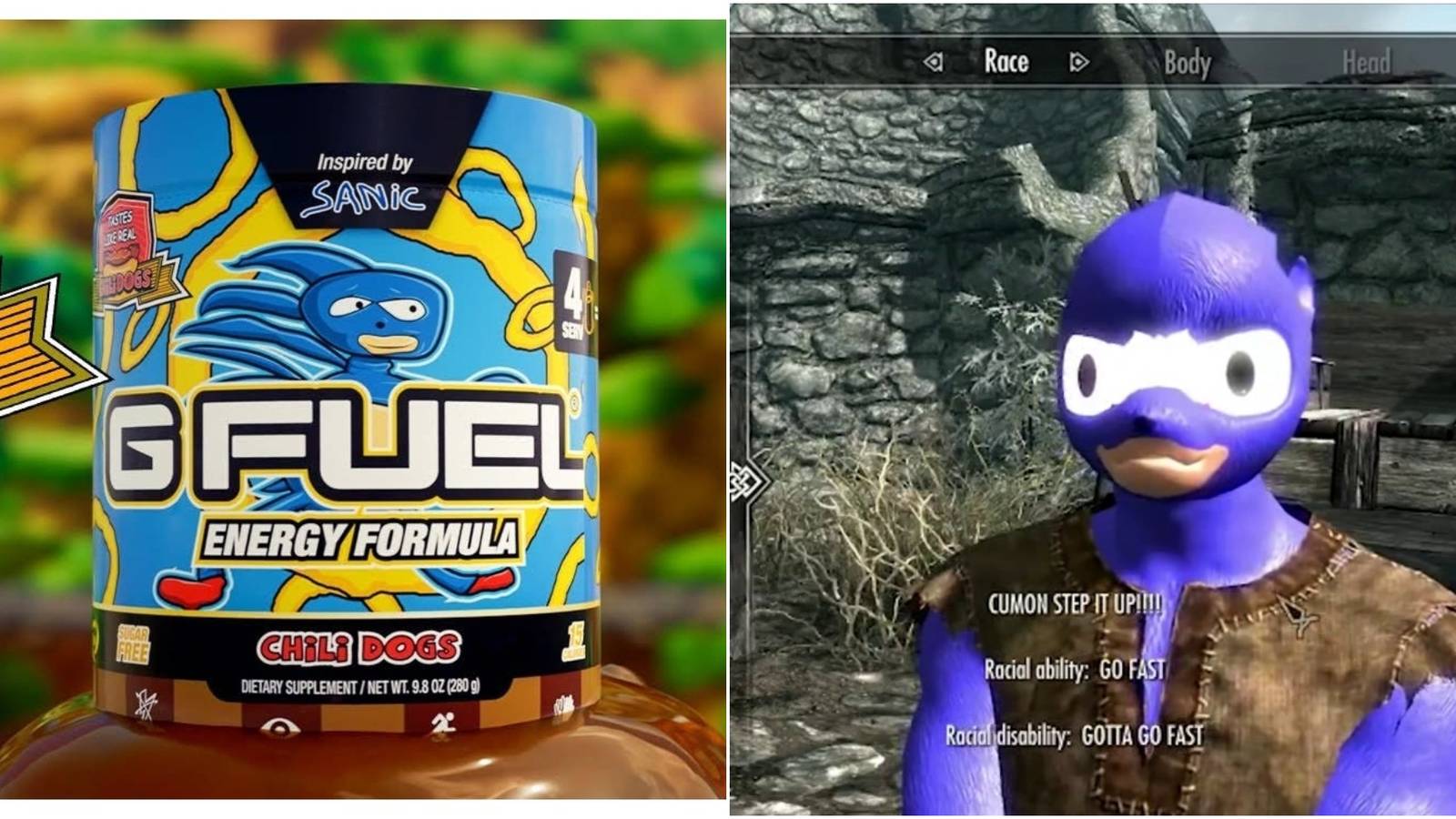 Sanic Hedgehog Memes Sanic Da Hegeh0g YouTube