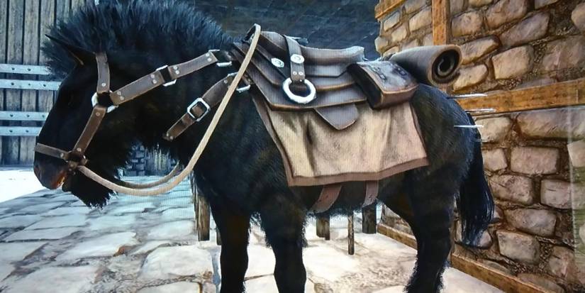 Ark Survival Evolved: How To Tame A Equus