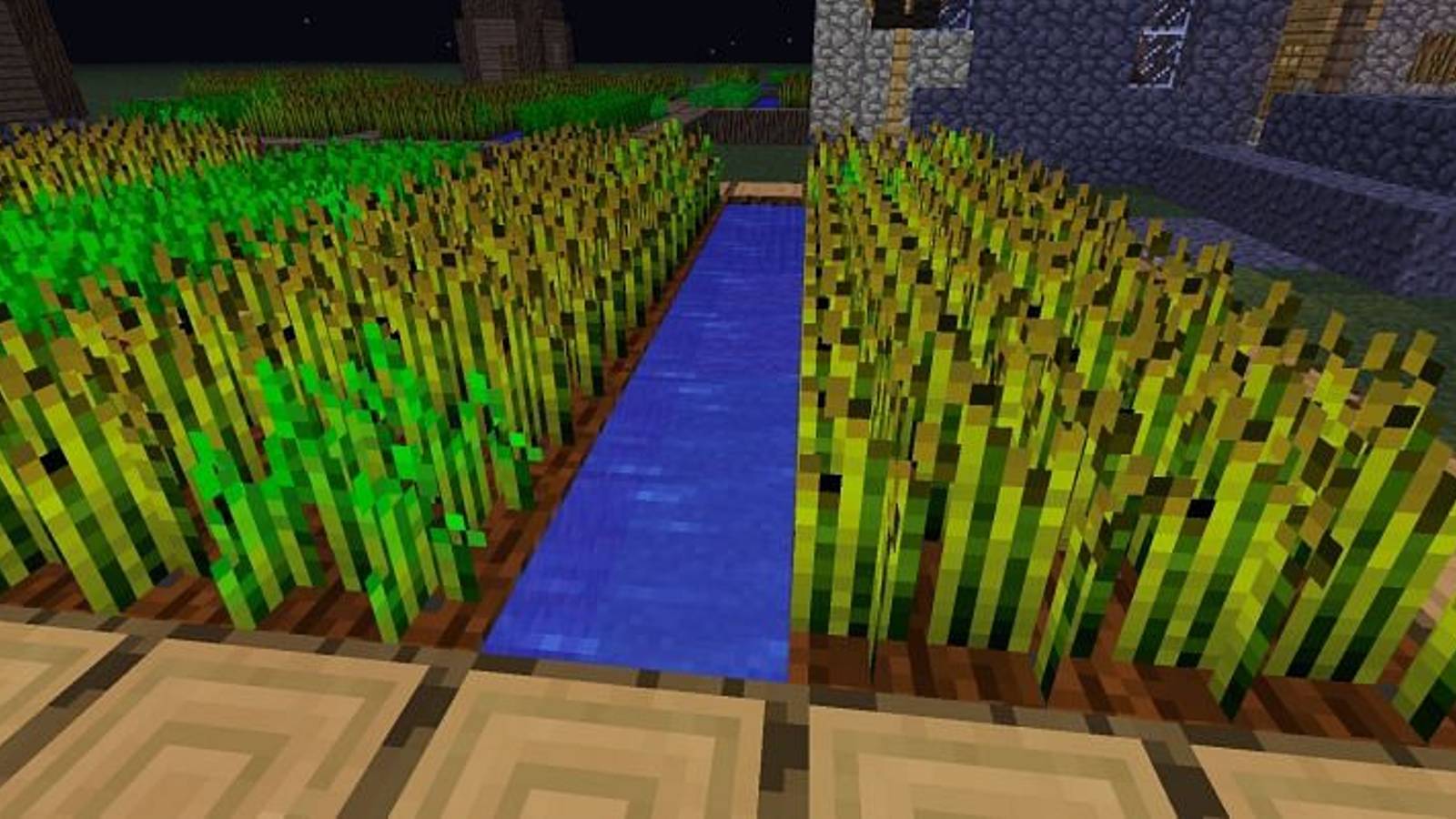 Minecraft Wheat Farm