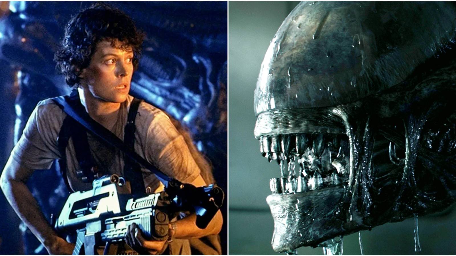Alien: Things You Might Not Know About Ellen Ripley