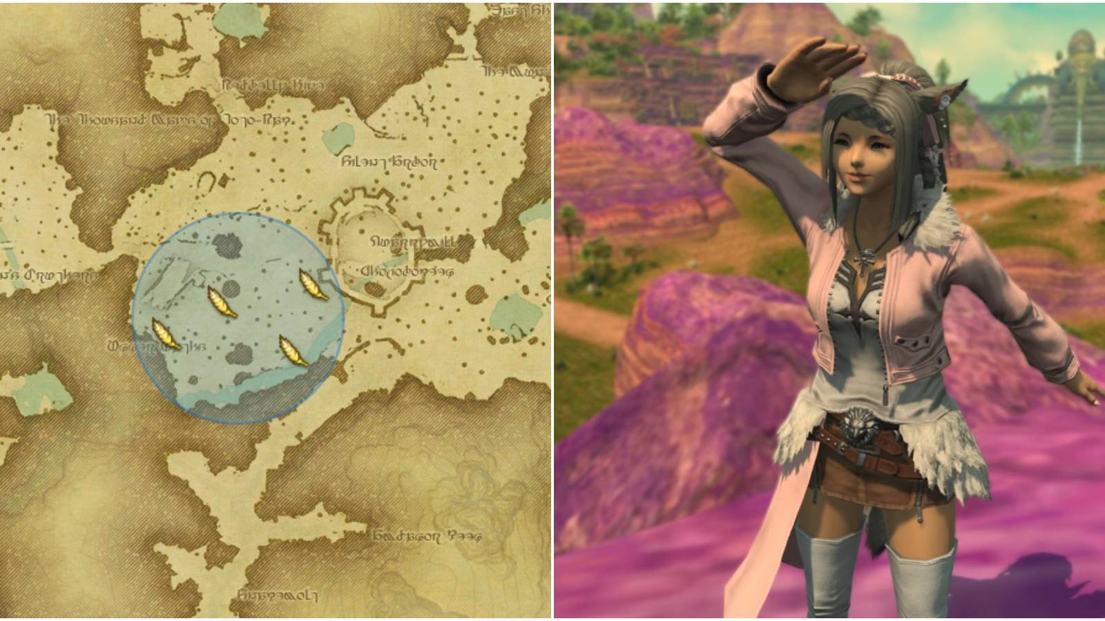 FFXIV: Where To Farm Gridanian Walnuts