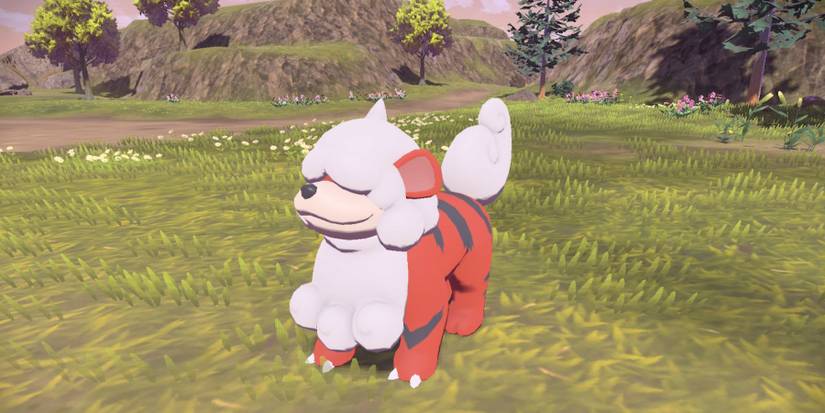 Pokemon Scarlet & Violet: How to Get & Evolve Hisuian Growlithe (Is ...