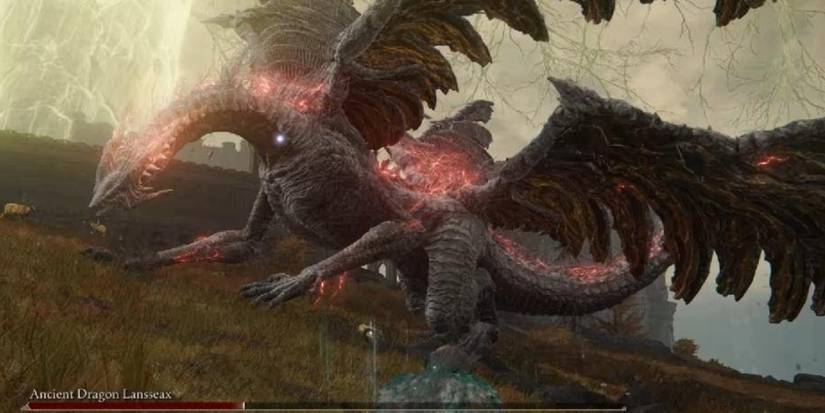 Every Elden Ring Dragon Explained