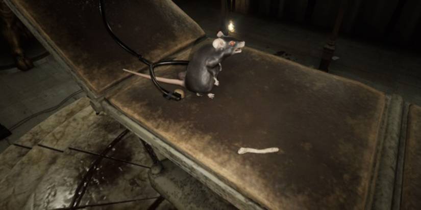 Devour: How To Beat The Asylum