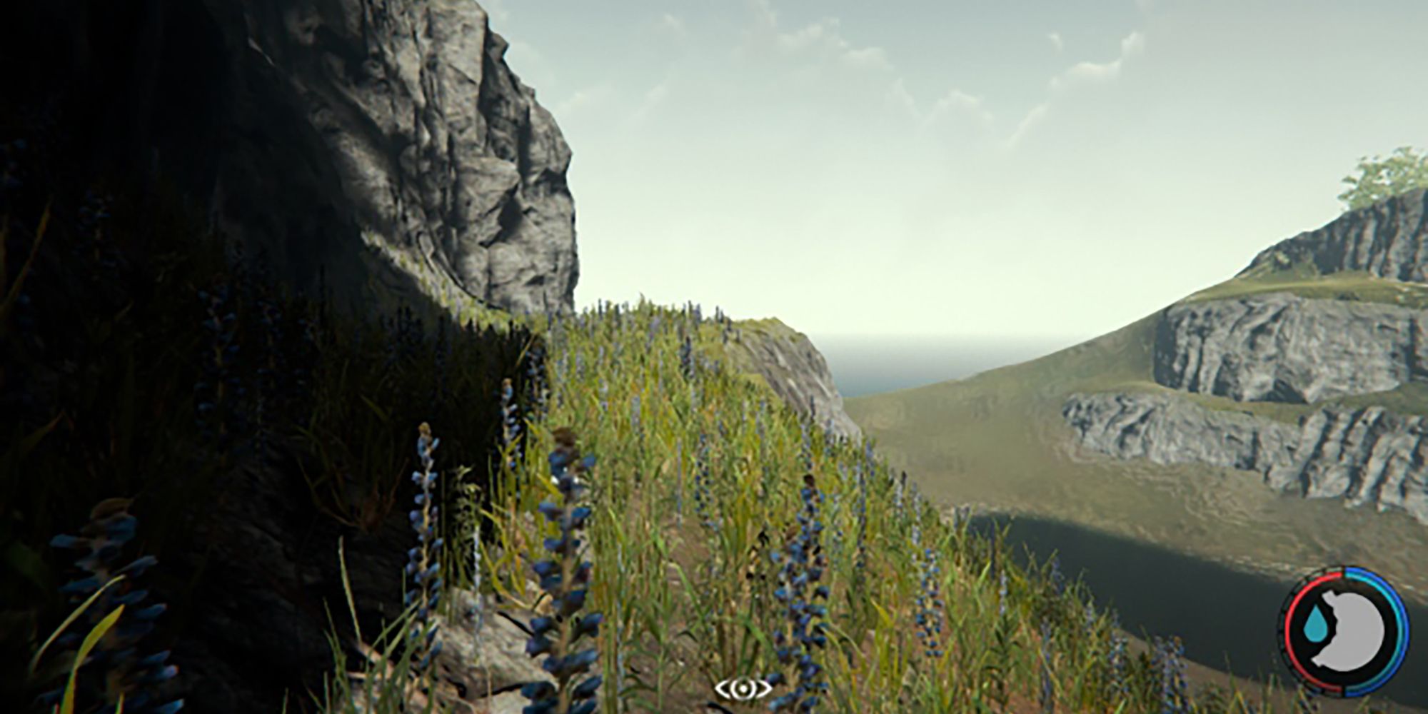 Best Base Locations In The Forest