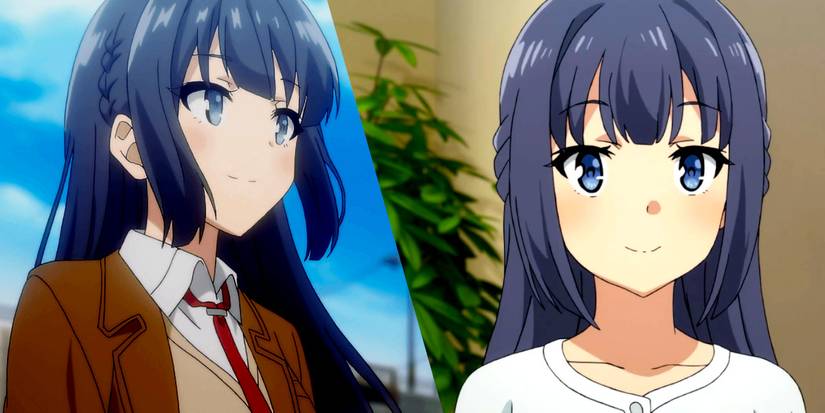 Rascal Does Not Dream of Bunny Girl Senpai: Shoko Explained