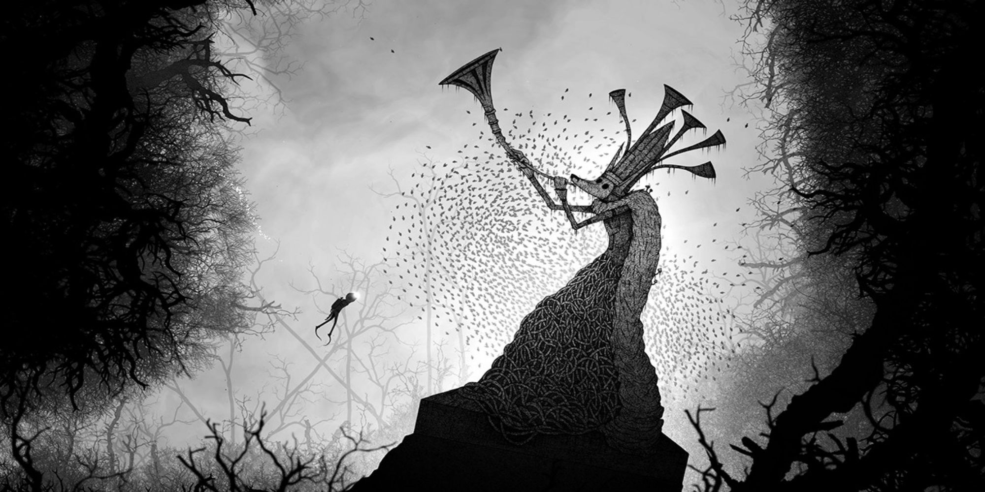 Beginner Tips For Silt