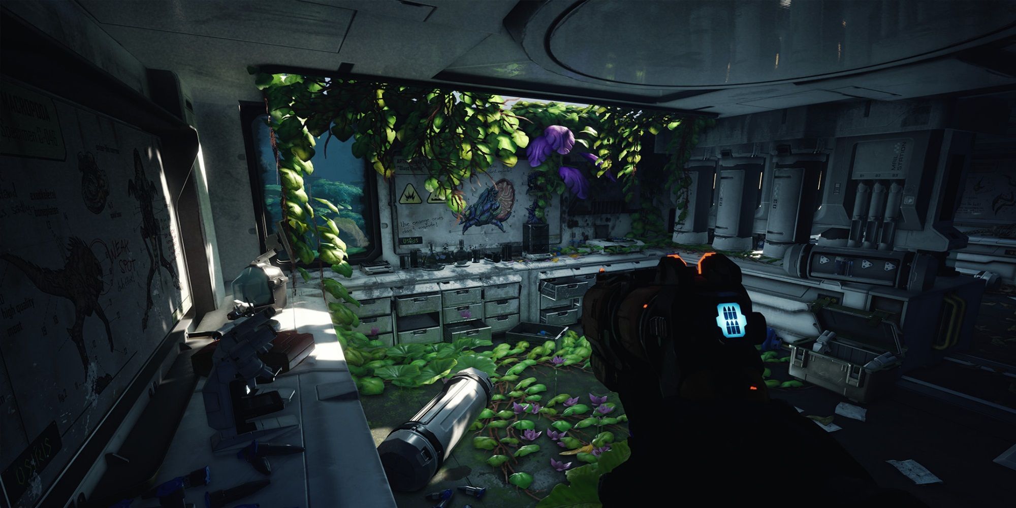 Beginner Tips For The Cycle: Frontier