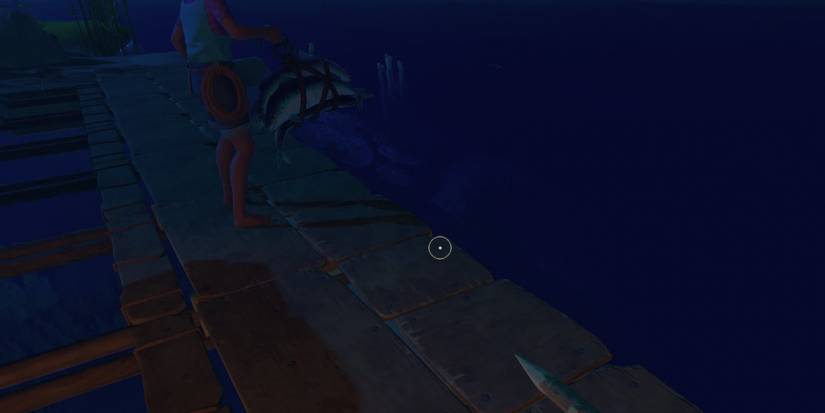 Raft: How to Get Seaweed