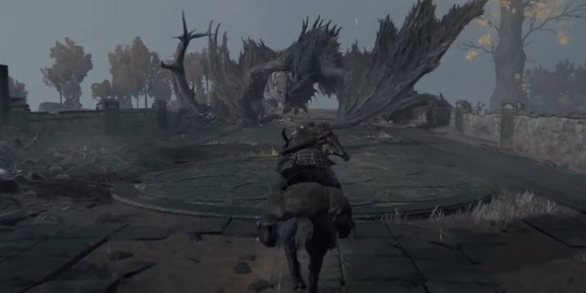 Every Elden Ring Dragon Explained