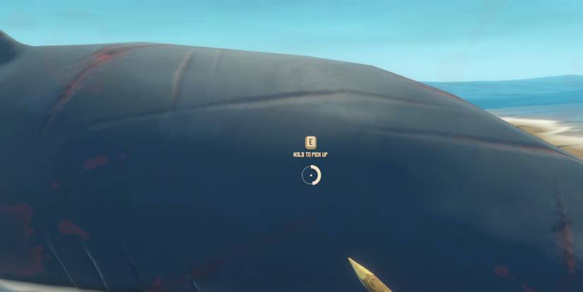 Raft: How to Get Seaweed