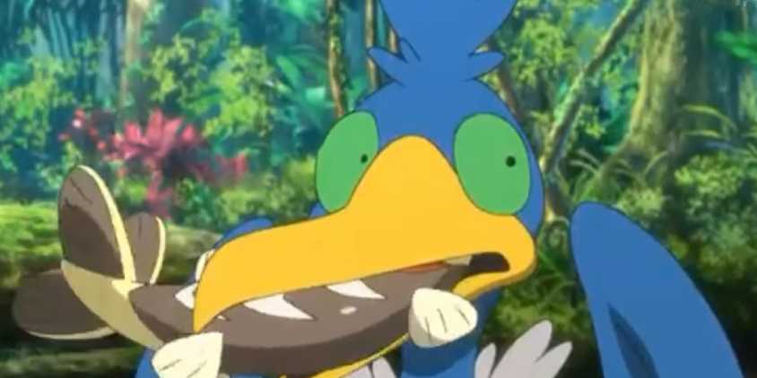 Pokemon Fan Shares Cramorant Pre-Evolution