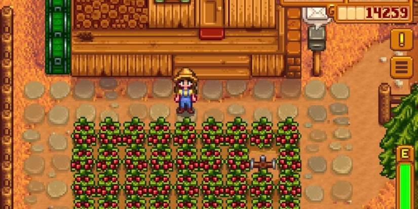 Stardew Valley: The Best Crops for Each Season