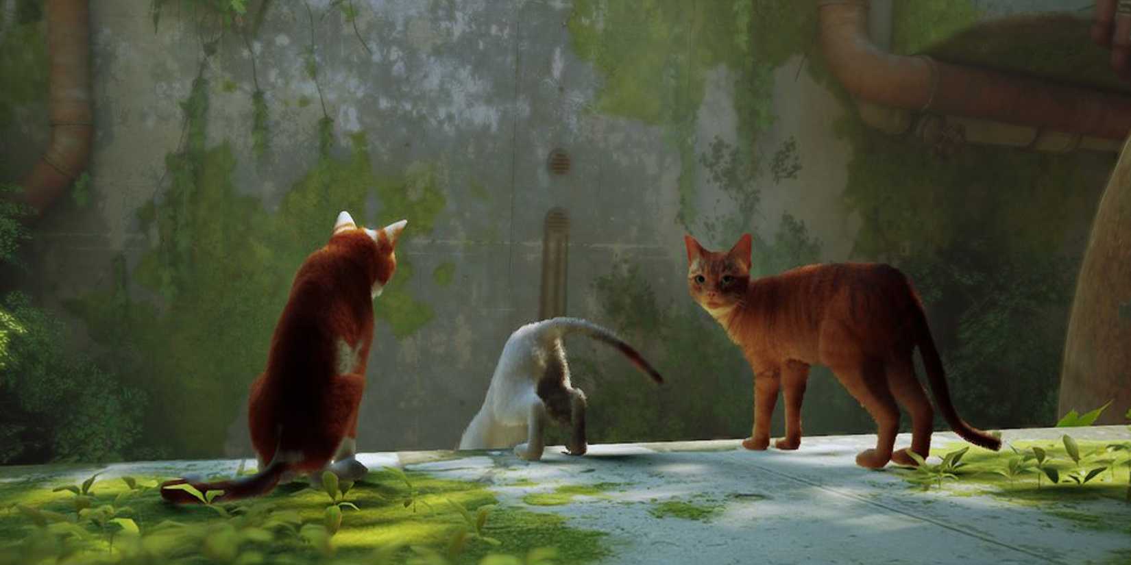 Post Apocalyptic Games Set In Nature Reclaimed Worlds