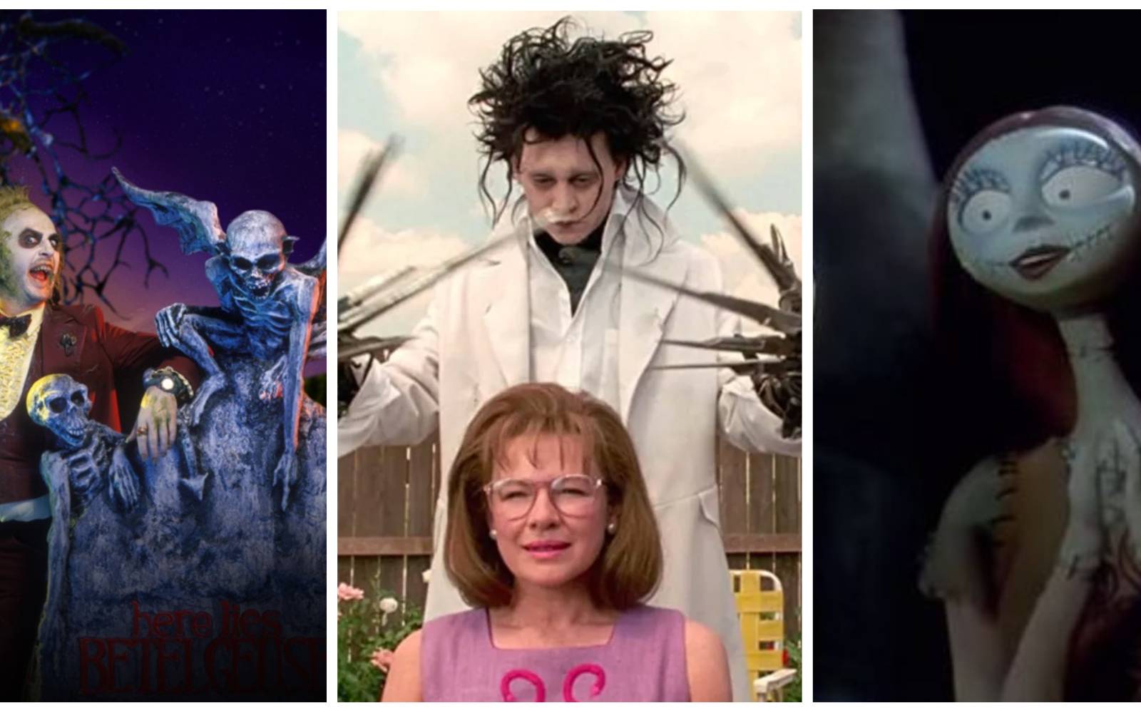 Tim Burton Characters Sally | Tim Burton Wiki | Fandom