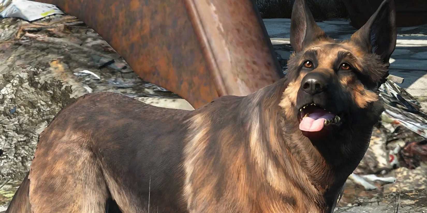 Important Things To Know About Dogmeat In Fallout 4