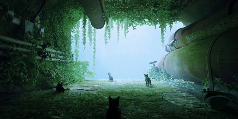 A Complete Guide to Chapter 1 of Stray