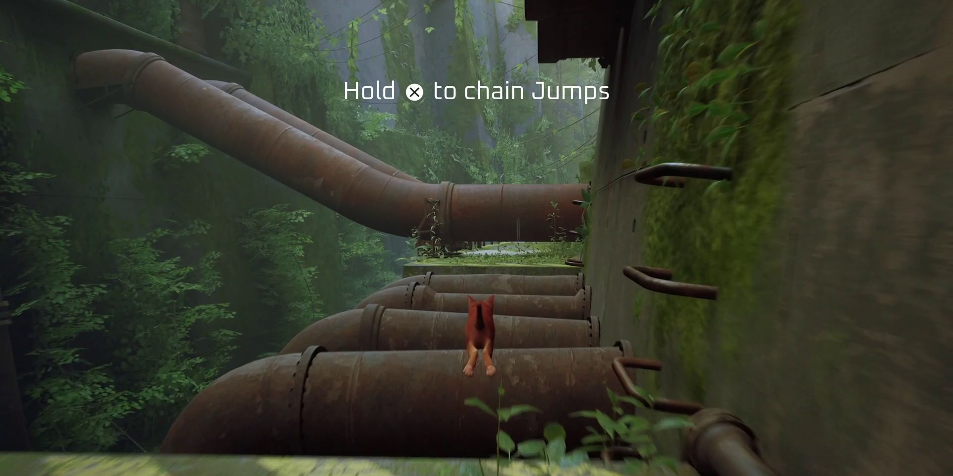 A Complete Guide to Chapter 1 of Stray