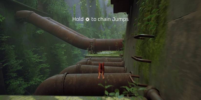 A Complete Guide to Chapter 1 of Stray