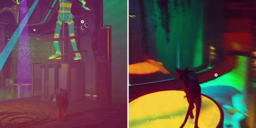 A Complete Guide to Chapter 10 of Stray