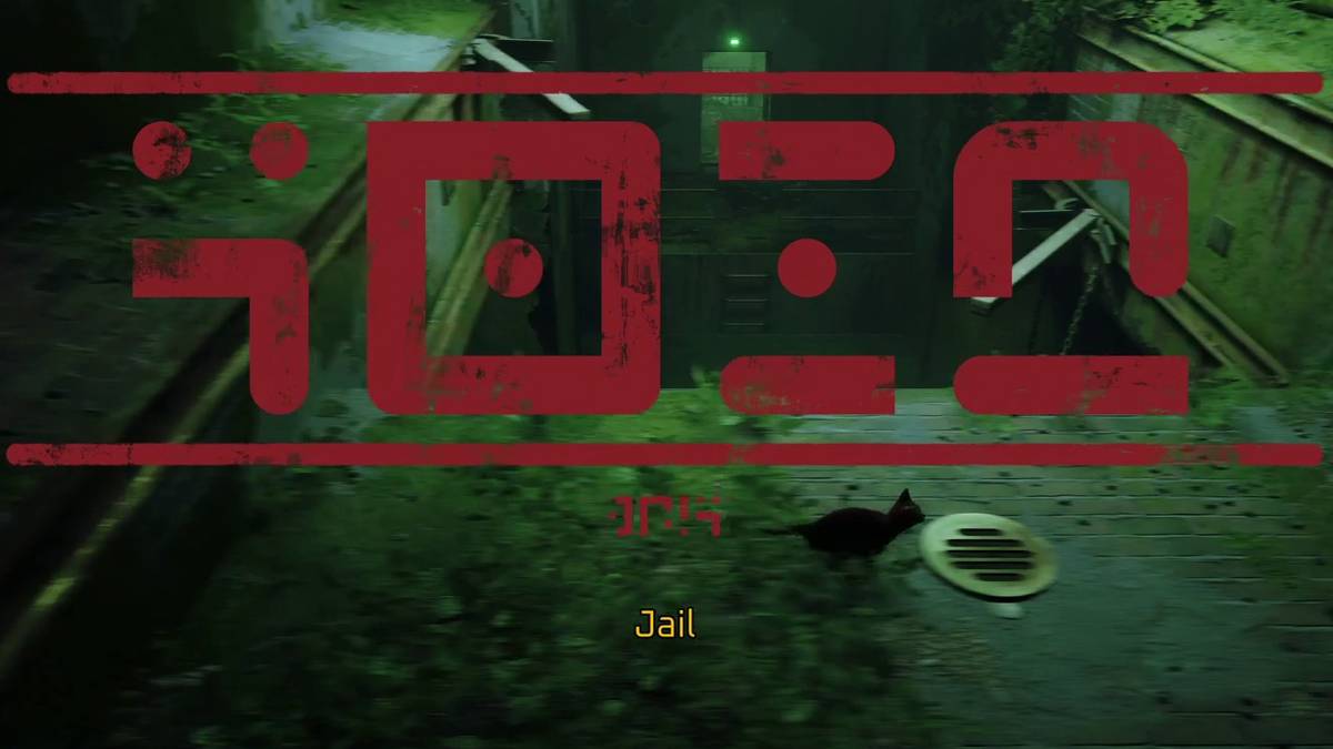 A Complete Guide to Chapter 11 of Stray