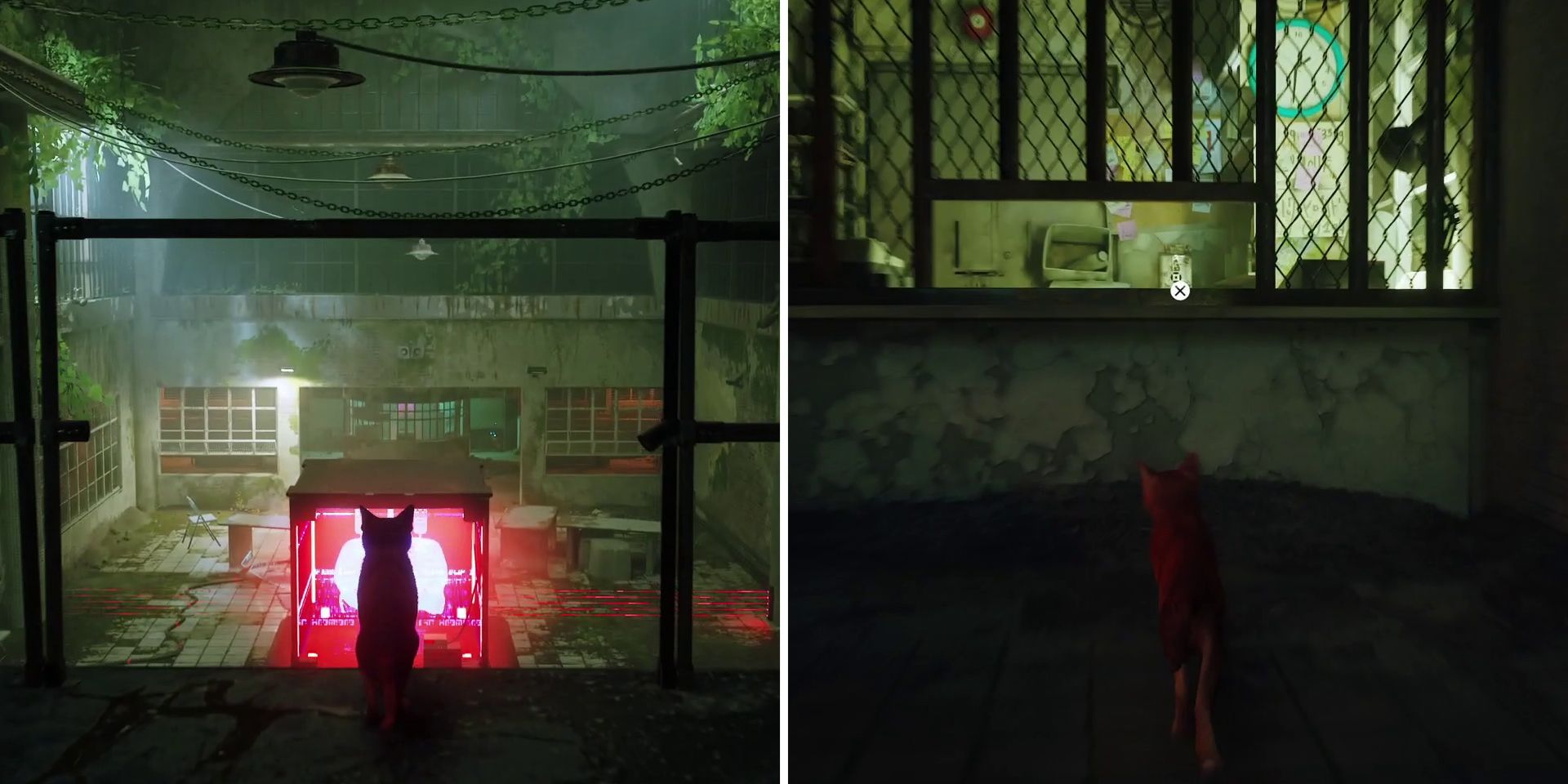 A Complete Guide to Chapter 11 of Stray