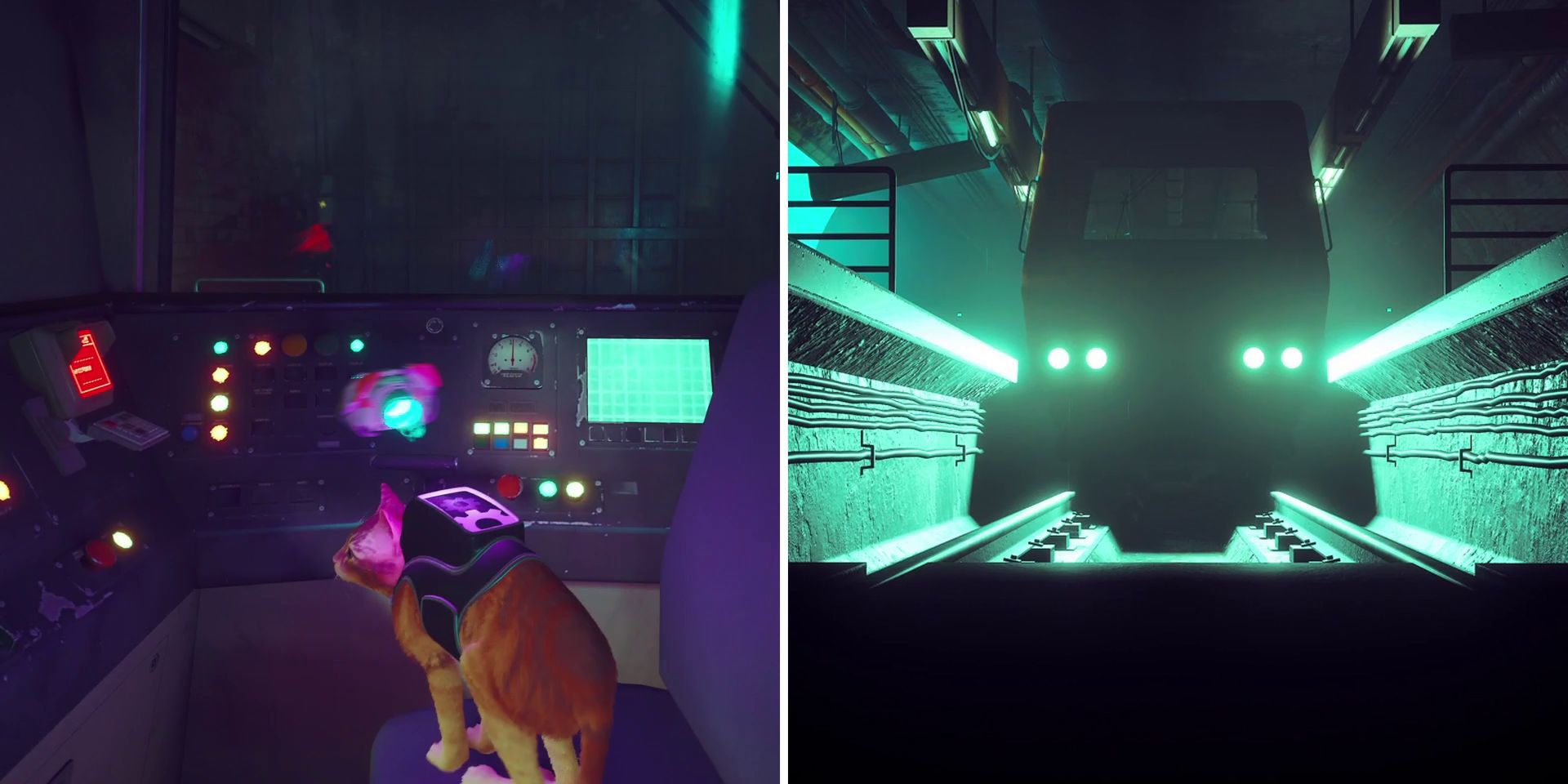 A Complete Guide to Chapter 11 of Stray