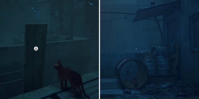 A Complete Guide to Chapter 2 of Stray