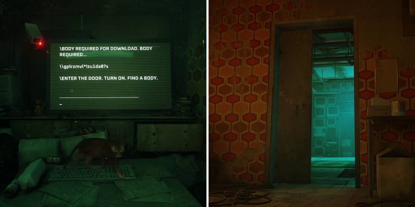 A Complete Guide to Chapter 3 of Stray