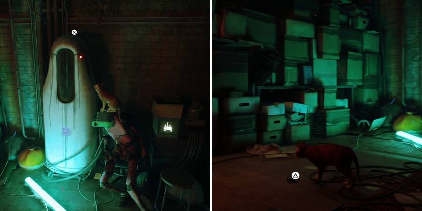 A Complete Guide to Chapter 3 of Stray