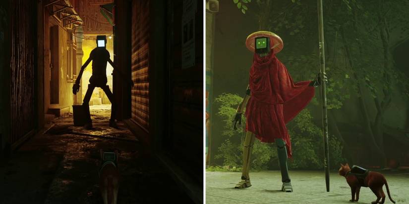 A Complete Guide to Chapter 4 of Stray