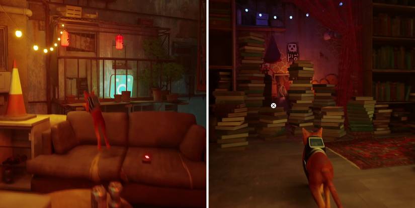 A Complete Guide to Chapter 4 of Stray