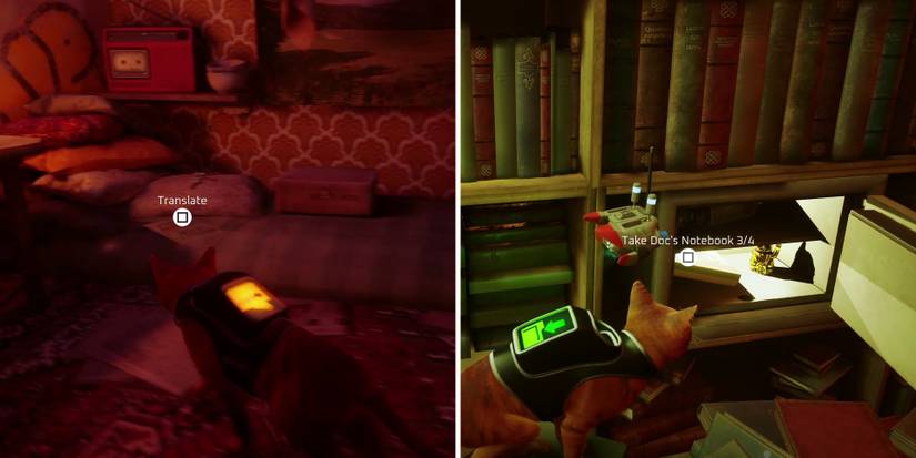 A Complete Guide to Chapter 4 of Stray