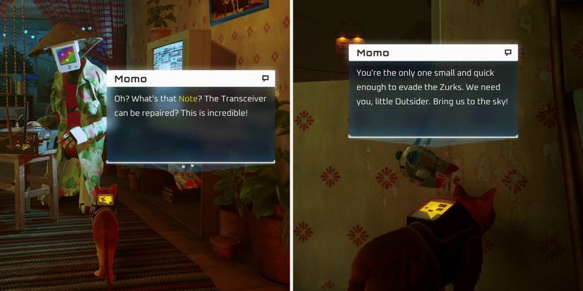 A Complete Guide to Chapter 4 of Stray