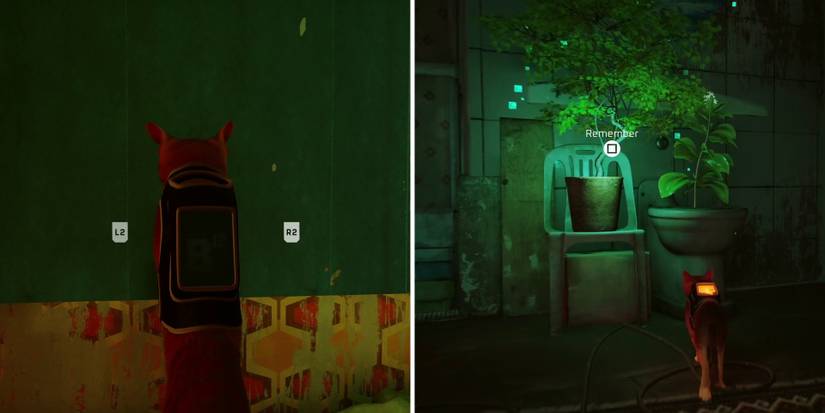 A Complete Guide to Chapter 4 of Stray