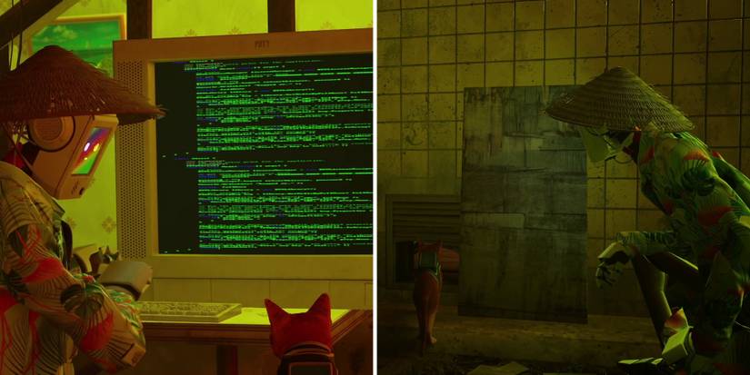 A Complete Guide to Chapter 6 of Stray