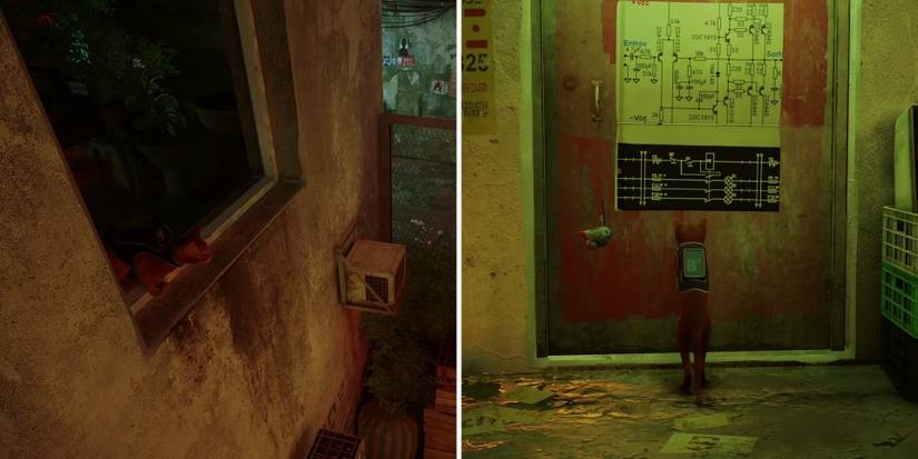 A Complete Guide to Chapter 6 of Stray