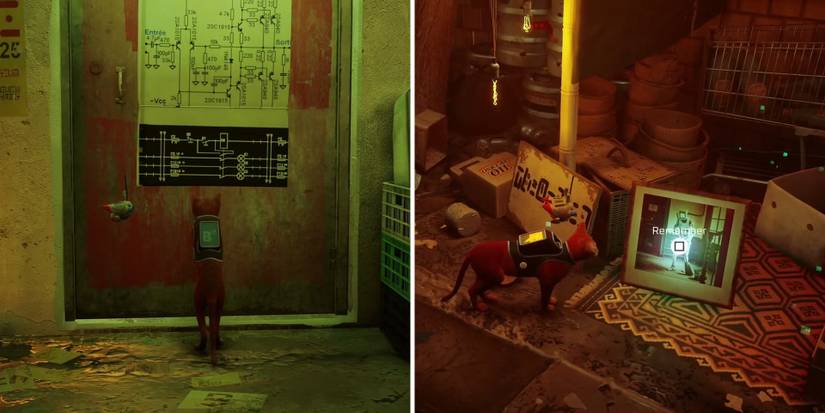 A Complete Guide to Chapter 6 of Stray