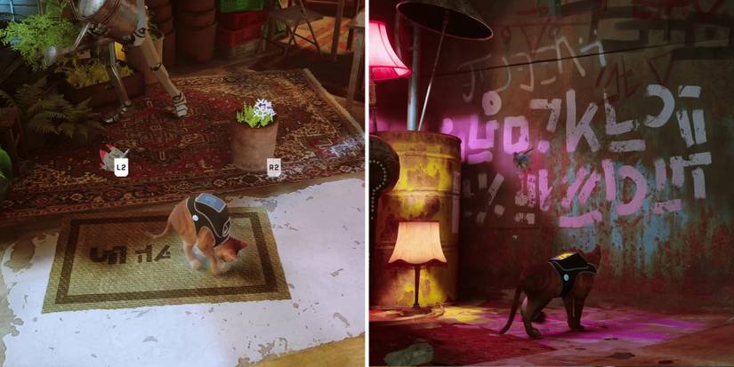 A Complete Guide to Chapter 9 of Stray