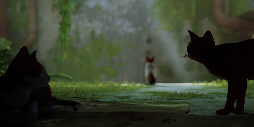 Stray: Complete Guide & Walkthrough