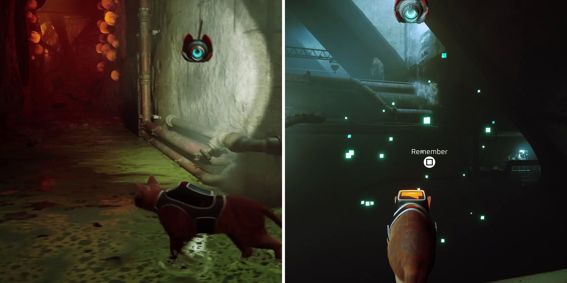 Stray: Cómo conseguir el trofeo Pacifista – ZonaTecno