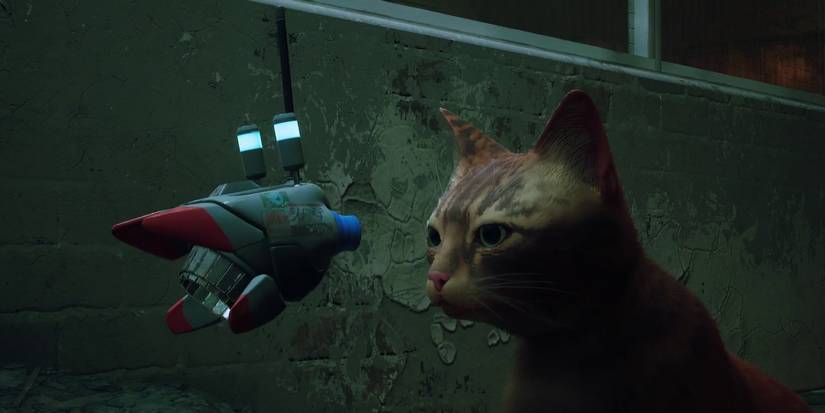 Stray: Complete Guide & Walkthrough