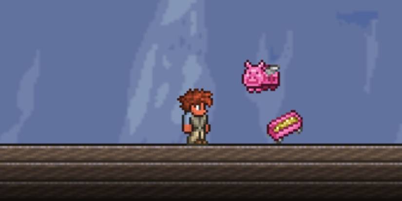 The Rarest Items In Terraria