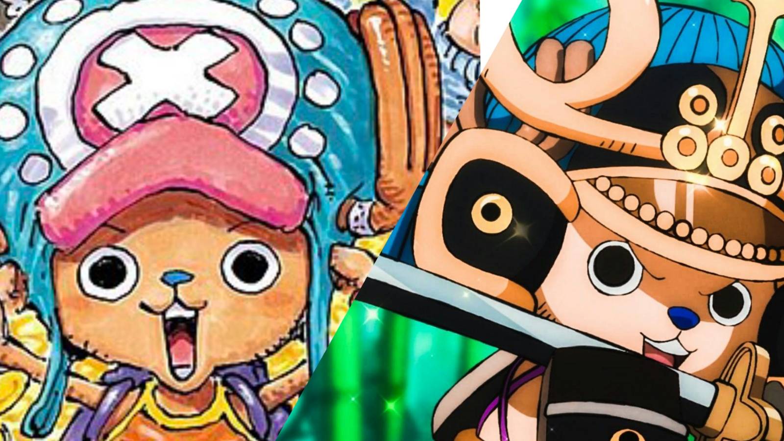 One Piece: 8 Cool Details You Might Have Missed About Chopper's Clothes