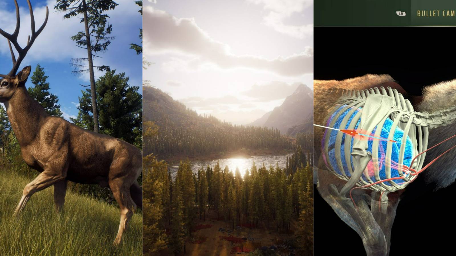 Things We Loved About Way Of The Hunter (& Things We Didn't)