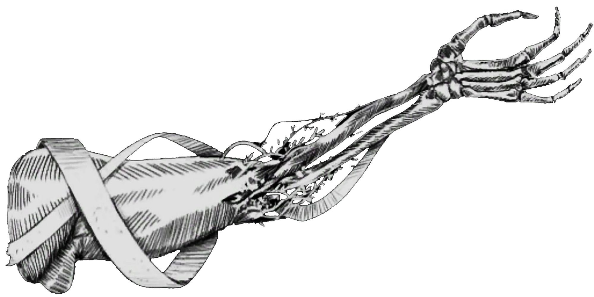 Hunt: Showdown Best Traits, Ranked